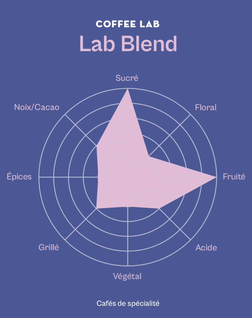 Lab Blend - Nos Cafés